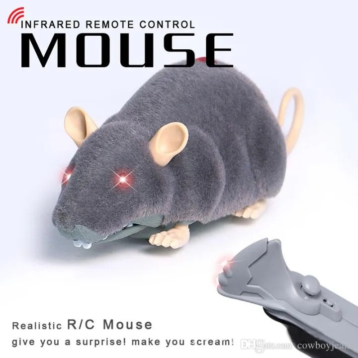 RC MOUSE หนูบังคับด้วยรีโมท NO.791 เคลื่อนที่ได้เหมือนจริงบังคับด้วย ...