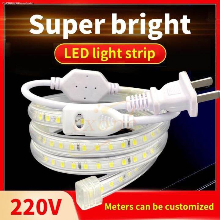 Strip Lights Led strip light 220v indoor outdoor heavy duty Ceiling ...