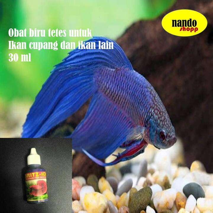 Obat biru tetes aquarium untuk ikan cupang dan ikan lain 30ml | Lazada ...