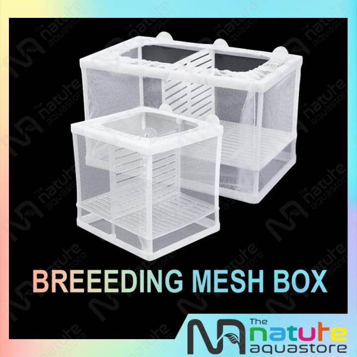 Aquarium Breeding Mesh Box / Isolation Box / Seperation Net Box | Lazada