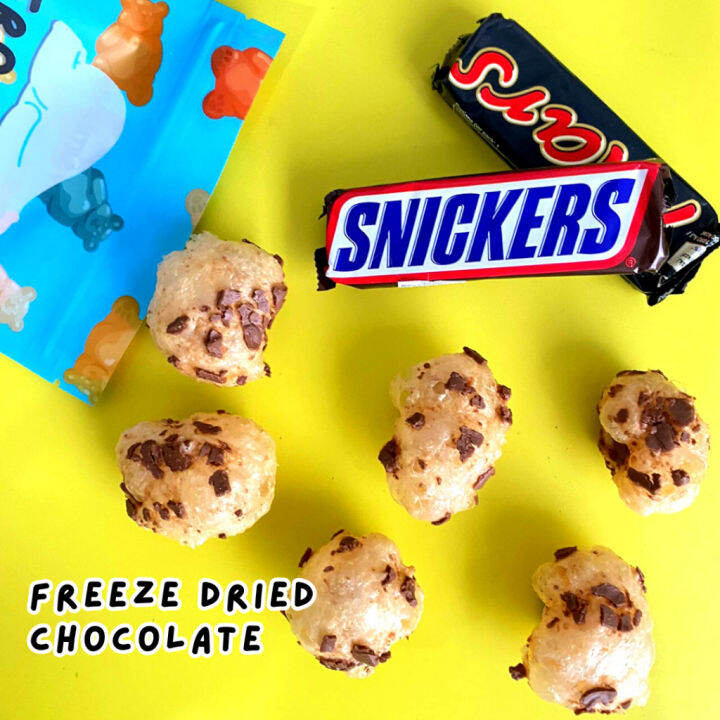 Freeze Dried Premium Chocolate Snickers Frostbite Candy | Lazada