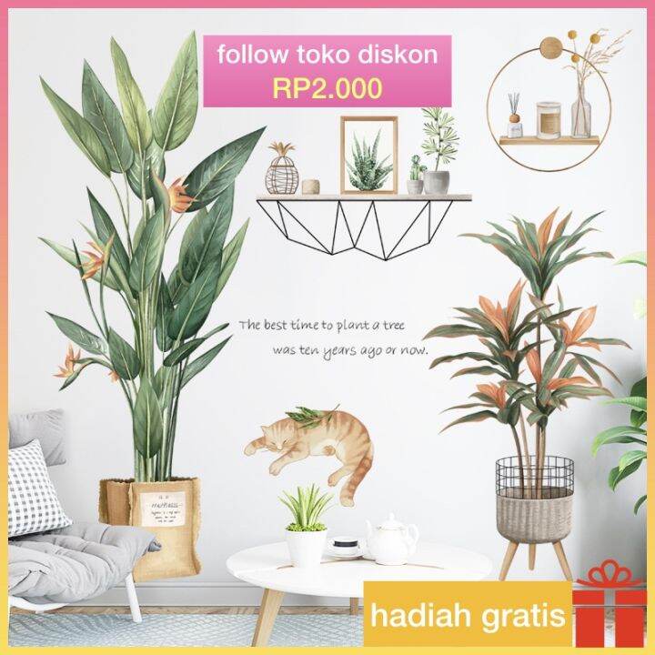 wallsticker dinding / wall stiker dinding pvc transparan （60cm*90cm ...