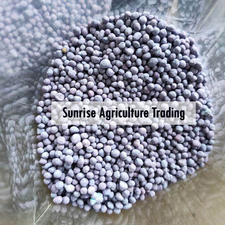 1kg Novatec Premium 15/3/20/2+10S+TE Baja Buah Fertilizer Nitrophoska ...