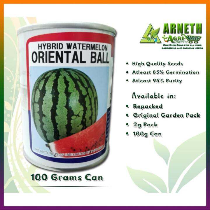 HYBRID WATERMELON ORIENTAL BALL SEEDS BY TAKII SEED 100grams CAN | Lazada PH