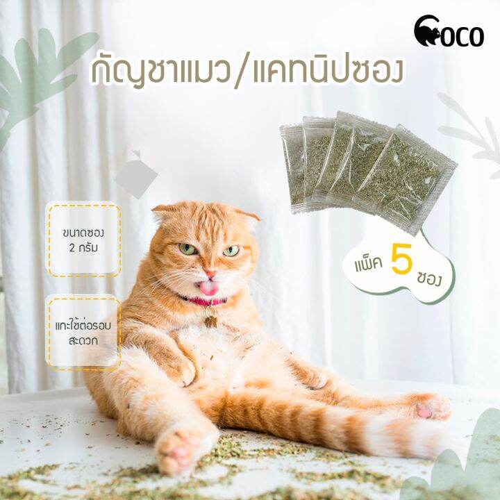 coco.pet กัญชาแมว แคทนิปแมว แบบซอง ขนมแมว ช่วยแมวผ่อนคลาย แคทนิปออแกนิค Catnip ผงแคทนิป หญ้าแมว ...