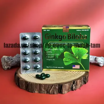 Công dụng và hiệu quả của hoạt huyết dưỡng não ginkgo biloba 240mg