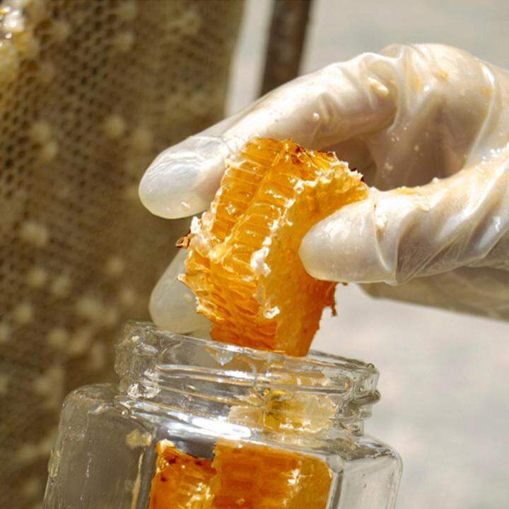 (Jar Pack) Sarang Madu Lebah / HoneyComb Honey Comb | Lazada