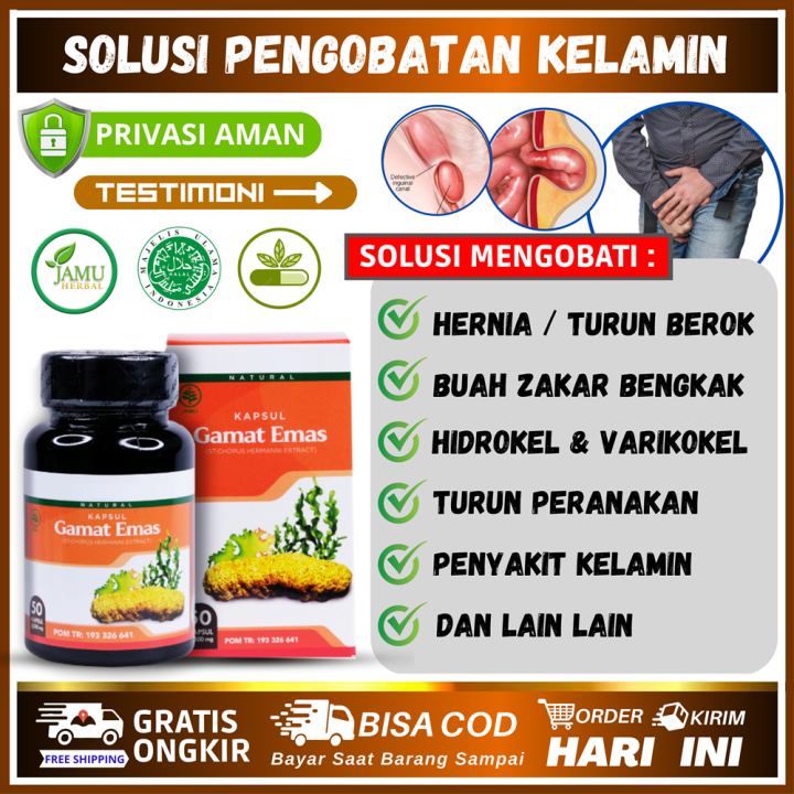 Obat hernia pria dewasa - Buah Zakar Bengkak - benjolan di Perut ...