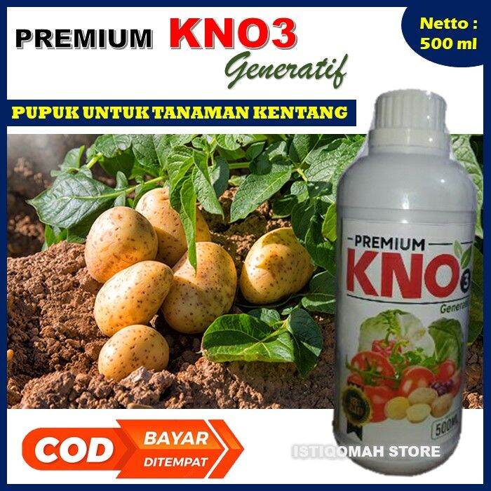PROMO COD PREMIUM KNO3 500ML Pupuk Obat Pencegah Busuk Umbi Kentang - Pupuk untuk Mempercepat ...