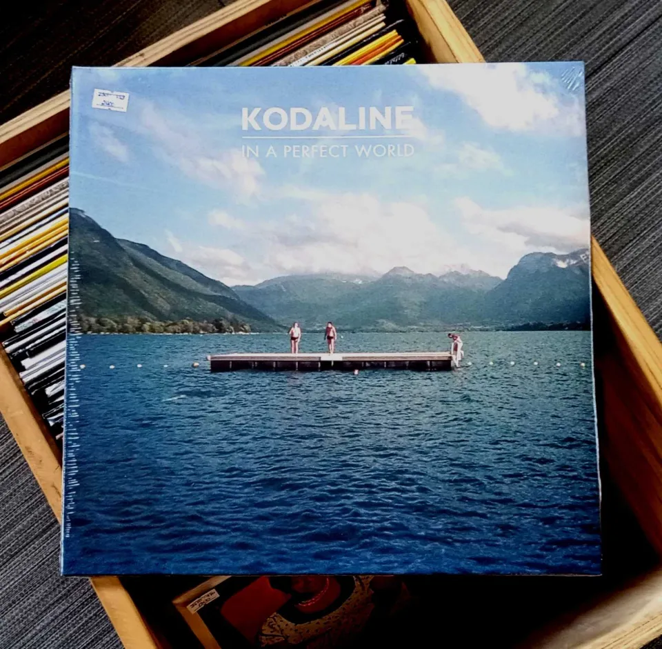 Kodaline In A Perfect World