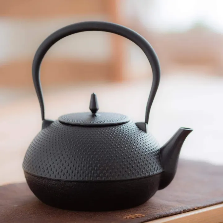 Nanbu Ikenaga Tetsubin, Japanese Cast Iron Kettle with Handle and Lid for Stovetop Safe, IH(100 ...