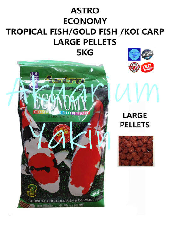 4077 ASTRO ECONOMY 5KG TROPICAL FISH/GOLD FISH /KOI CARP LARGE PELLETS ...