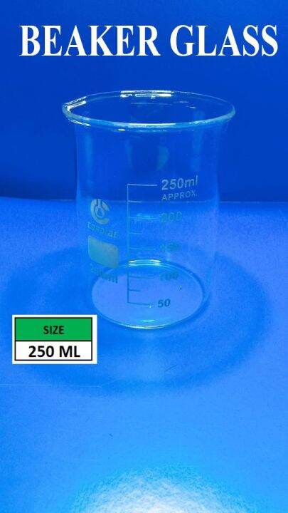 Beaker Glass 250ml | Lazada PH
