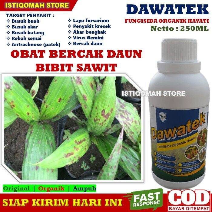 Obat Bercak Daun Bibit Sawit Paling Ampuh DAWATEK 250ML Fungisida ...