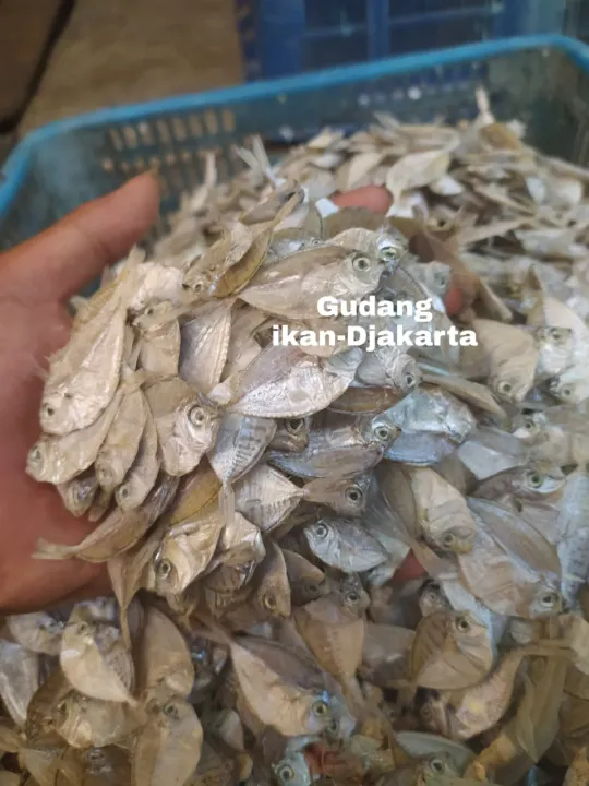 ikan asin petek halus super-1kg | Lazada Indonesia