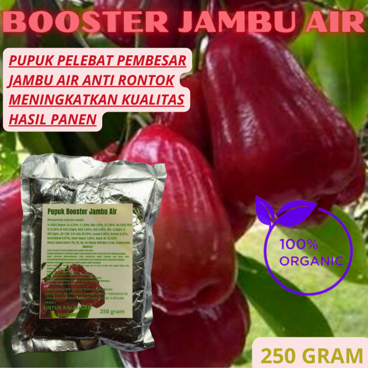 Pupuk Booster Pelebat Buah Jambu Organik /Pupuk Jambu Pemacu dan Pelebat Buah Jambu Perangsang ...