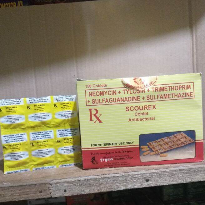 Scourex Coblet antibacterial sold per 9coblet | Lazada PH