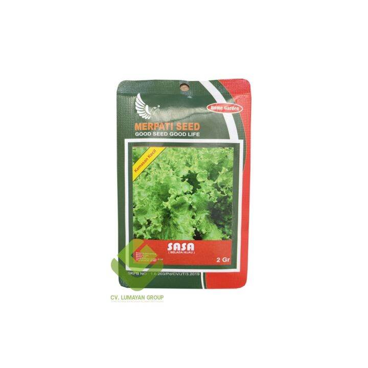 Benih Selada Hijau Sasa 2 Gram Merpati Seed | Lazada Indonesia