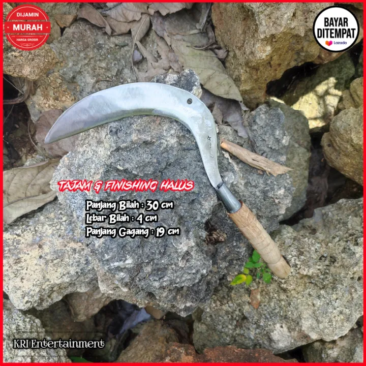 Terbaik sabit pengaritan model sabit madura - sabit sawah / rumput ...