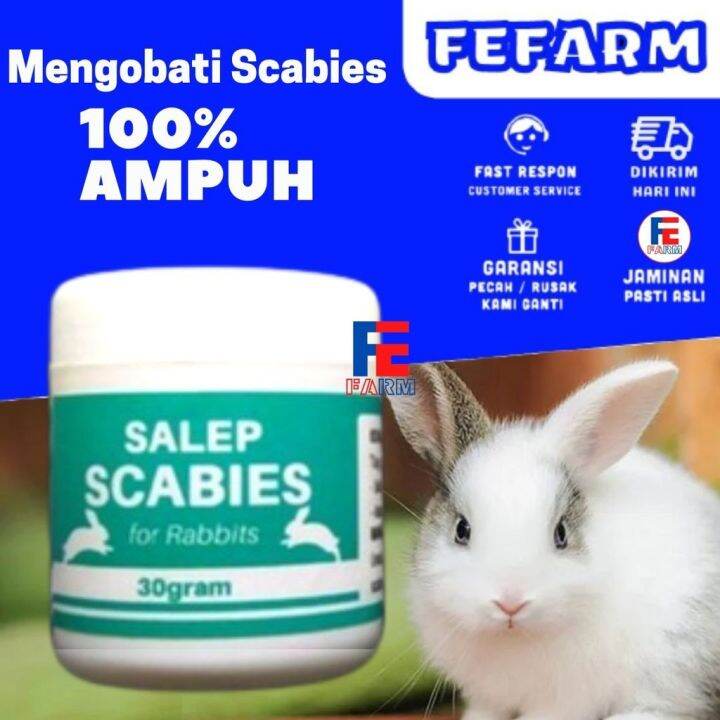 SALEP SCABIES OBAT JAMUR KELINCI SUPER AMPUH FEFARM | Lazada Indonesia