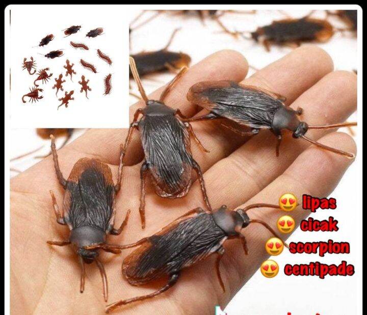 Rubber Cockroach Lipas Palsu Mainan Toy Simulation Cockroach Pet Toy ...