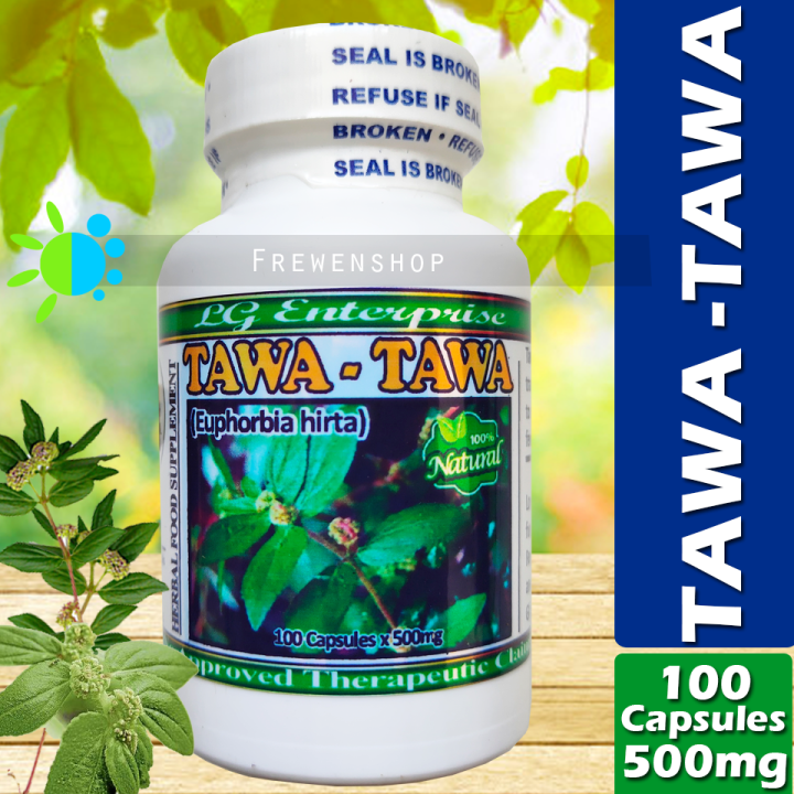 TAWA TAWA 500mg x 100 Capsule Natural Leaf Leaves Extract Supplement ...