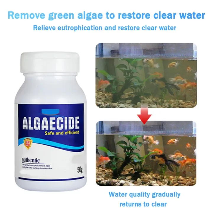 Pond Algae Control Effectively Controls Green Water Algae String or ...