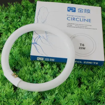 T6 Circline Cfl Light Bulb | Shelly Lighting
