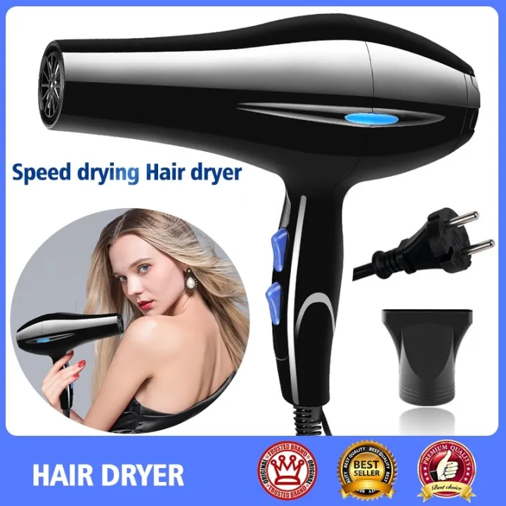 Hair Dryer Salon Blower Hairdryer With Portable Professional | Lazada PH