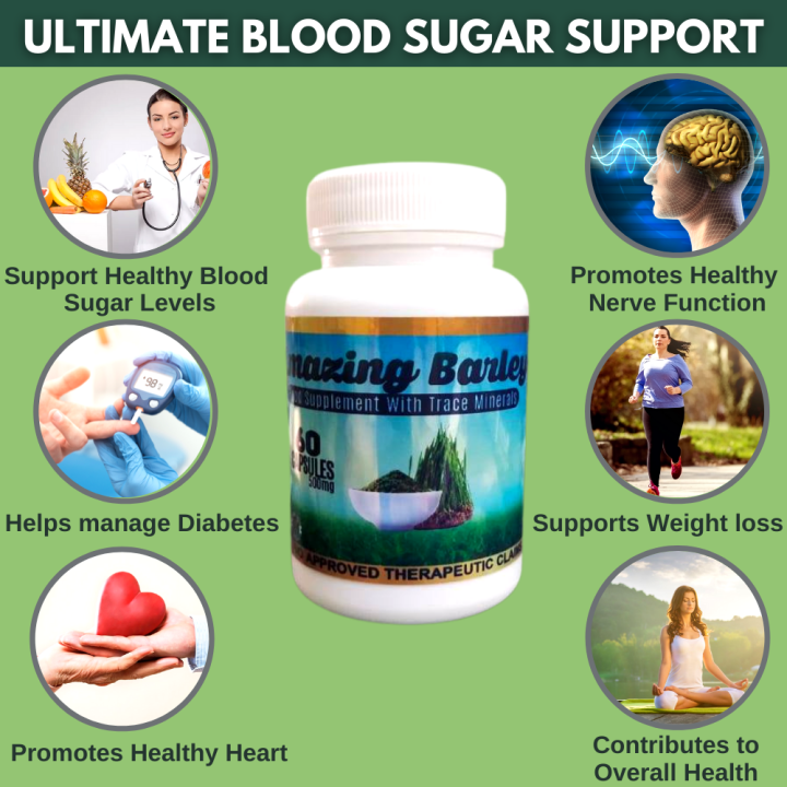 Original Pure Organic AMAZING Barley Grass capsule 500mg Food ...