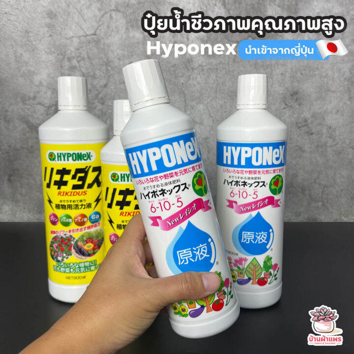 Hyponex ปุ๋ยน้ำชีวภาพคุณภาพสูง นำเข้าจากญี่ปุ่น ไม้อวบน้ำ กุหลาบหิน ...