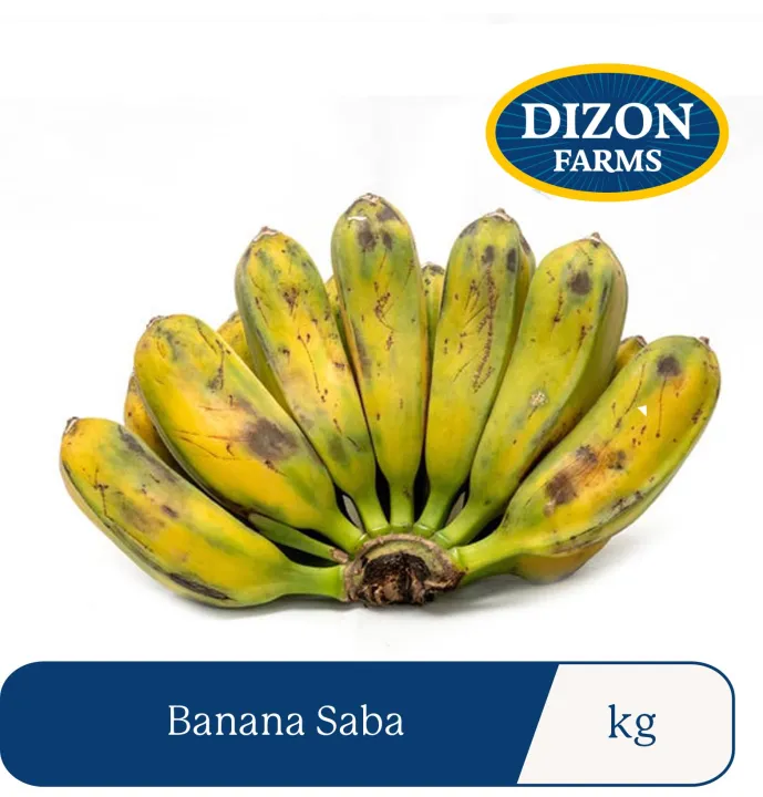 Dizon Farms - Banana Saba / kg | Lazada PH