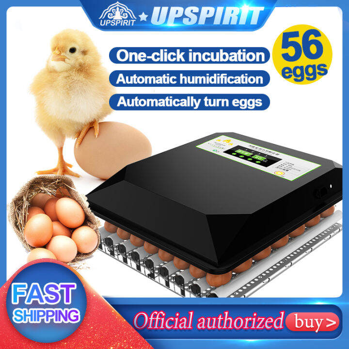 2023 The worth it 56 egg incubator automatic with hatcher，Fully Automatic Incubator Chicken ...