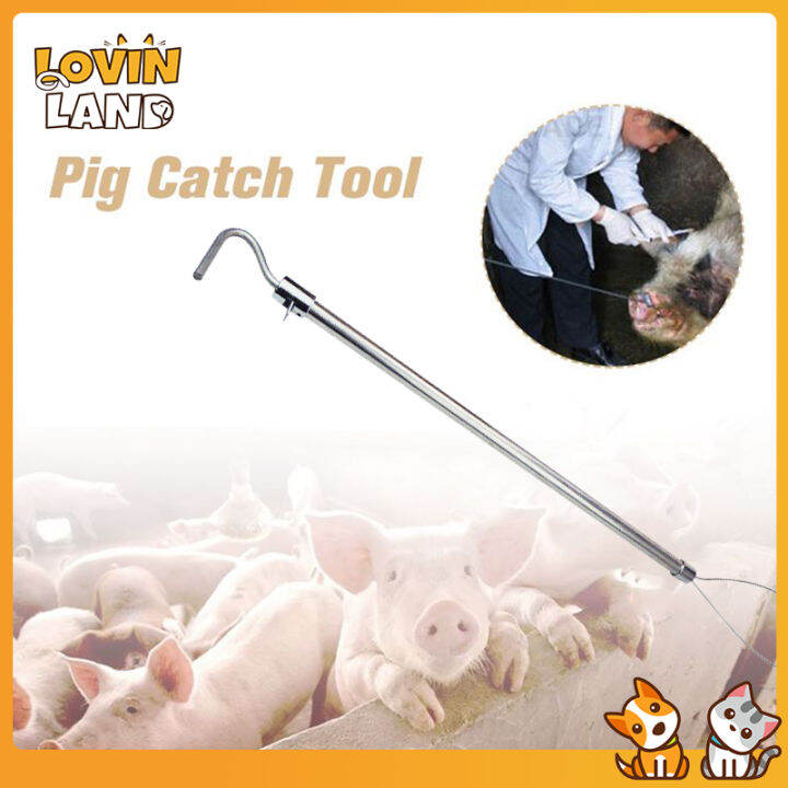 Lovinland Stainless Steel Long Rod Pig Catch Tool Adjustable Pig Rope ...