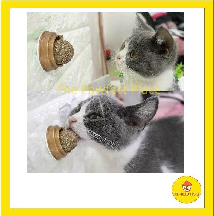 CATNIP BALL LOLLIPOP PERFECT TREAT FOR CAT | Lazada