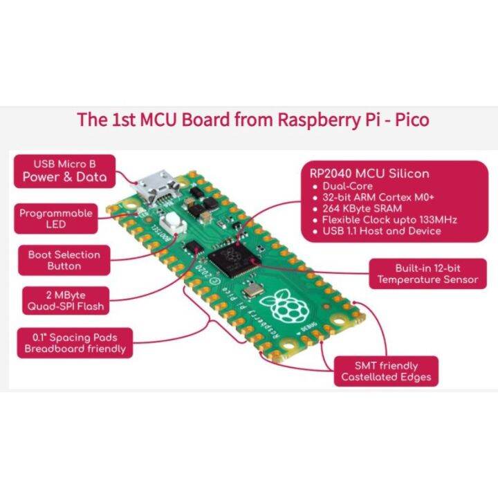 (Ready Stock) Raspberry Pi Pico Microcontroller Board - with a pair of ...