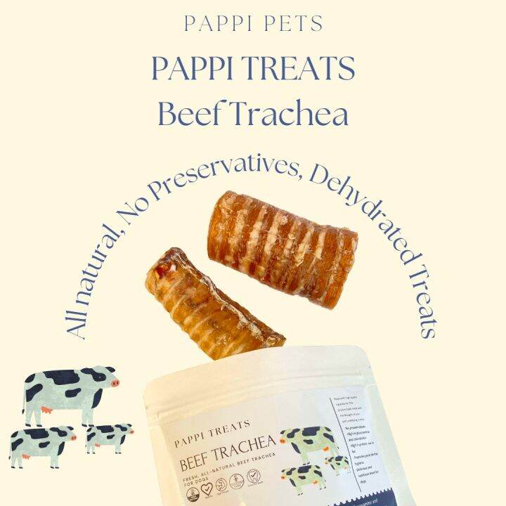 PAPPI TREATS Dehydrated Beef Trachea | Lazada PH