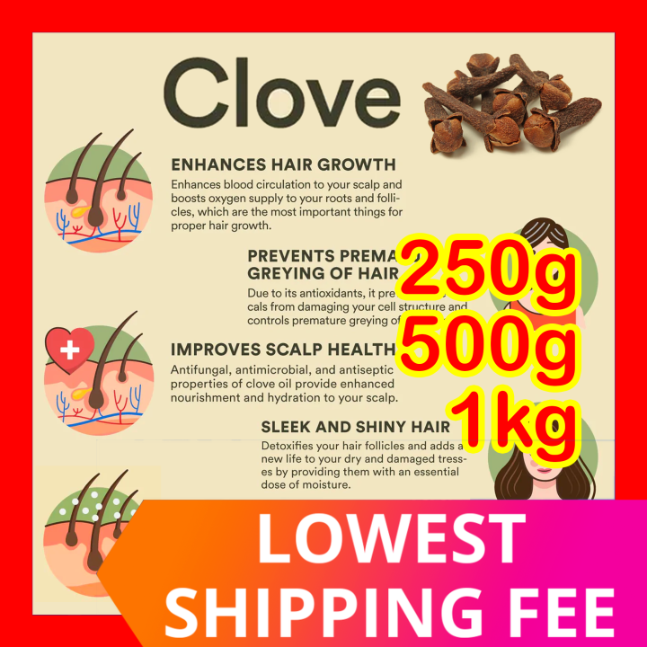 250g 500g 1kg CLOVES HERBS for Scent for Hair House Scent Face Whole Clove Dried Clavo de Comer ...