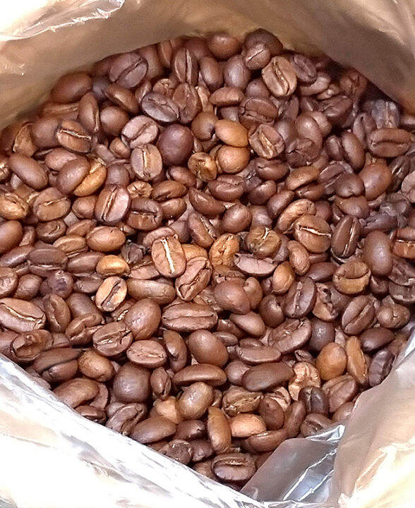 ARABICA MEDIUM Roast WHOLE BEANS Coffee 500G | Lazada PH