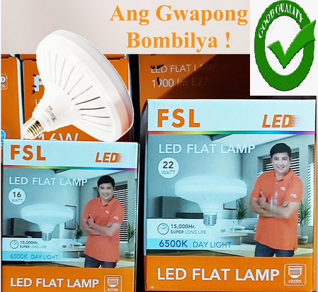 FSL LED Flat Lamp 16W 22W Daylight Good Quality | Lazada PH