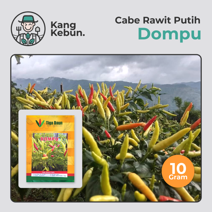 Benih Cabe Rawit Dompu isi 10 Gram Cap Tiga Daun | Lazada Indonesia
