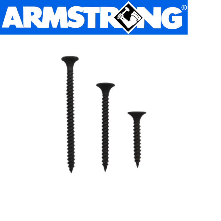 Total Tools Hardware High Quality ARMSTRONG GYPSUM SCREW | Lazada PH