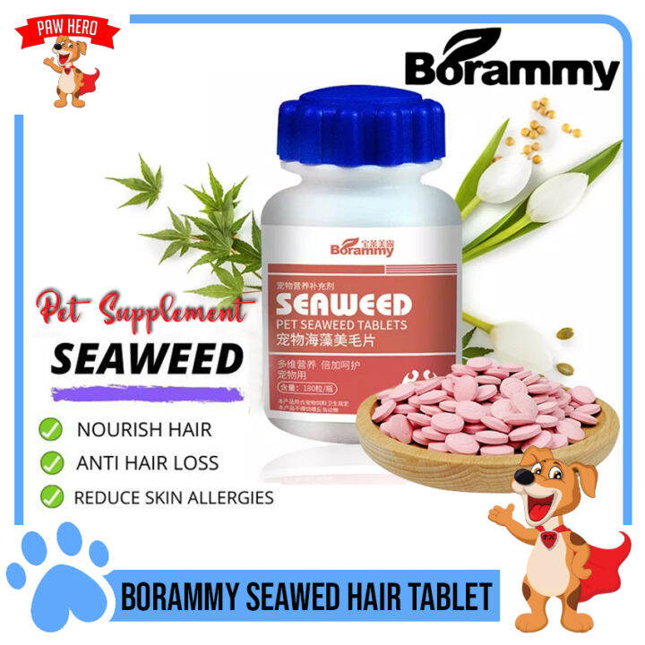 PAW HERO Borammy SEAWEED Beauty Hair Tablets Calcium Pet Supplements ...