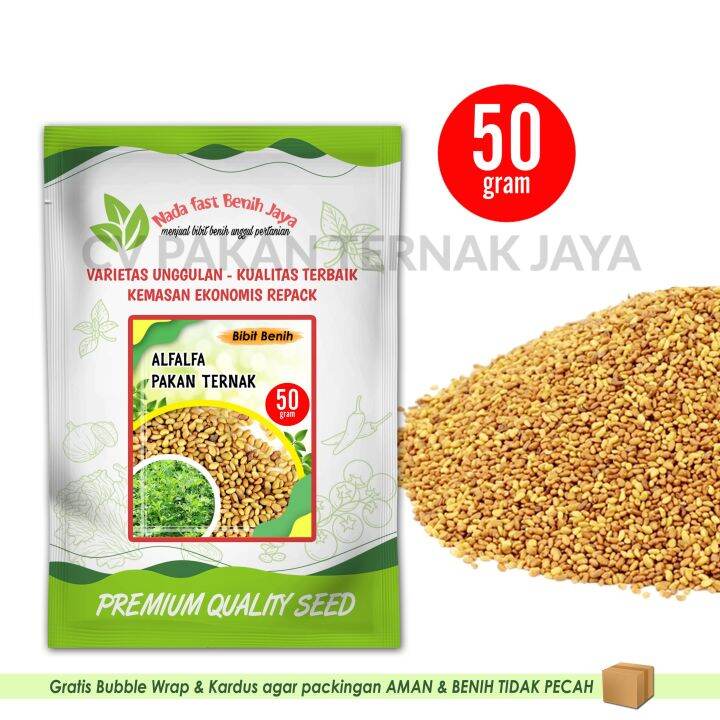 50 Gram Benih pakan ternak Alfalfa High Quality bibit pakan ternak ...