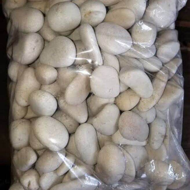 Batu hias kolam atau tumbuhan koral putih berat 1kg / batu koral putih ...