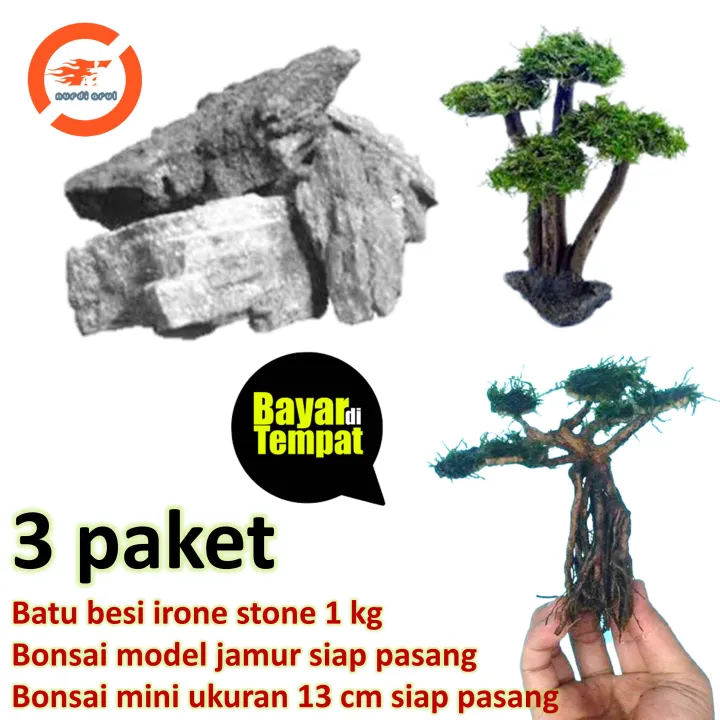 JUAL MURAH 3 PAKET batu besi 1kg, bonsai model jamur,bonsai mini 13 cm ...