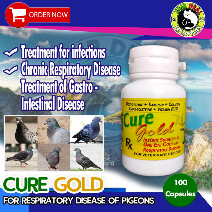 CURE GOLD for racing pigeons (100 capsules) | Lazada PH