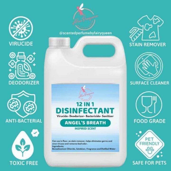 12 in 1 Disinfectant Angls Breath Scent | Lazada PH