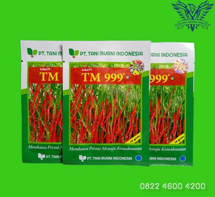 Bibit Cabai TM 999 10gr Tani Murni Cabe Hibrida F1 | Lazada Indonesia
