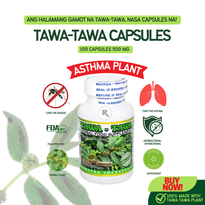 😁 Original Pure Tawa Tawa Herbal Capsules 100 Capsules | 500mg | For Dengue, Improve Platelet ...